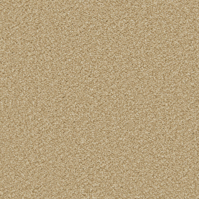 Cormar Apollo Plus Caramel - Brompton Carpets