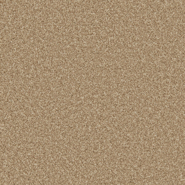 Cormar Apollo Plus Stepping Stone - Brompton Carpets